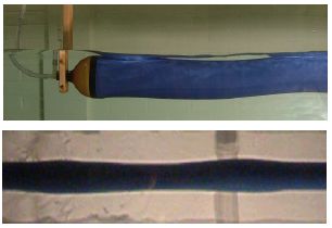 Anaconda's Bulge Wave Could Take A Bite Out Of CO2 | Science 2.0