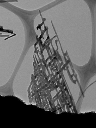 Nanonets May Boost Energy 'Harvesting' | Science 2.0