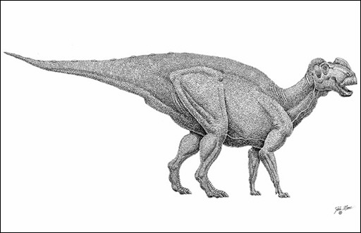 New Dinosaur Species, Gryposaurus Monumentensis, Unearthed In Utah ...