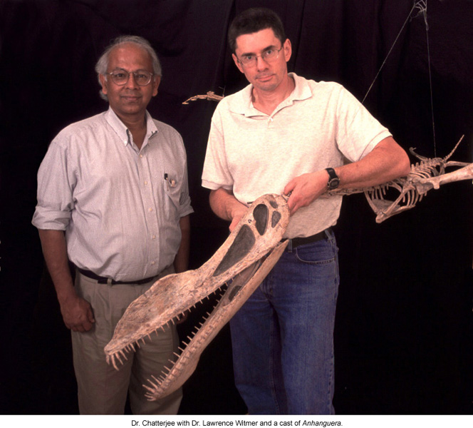 Robotic Spy Plane Inspired By The Pterodactyl | Science 2.0