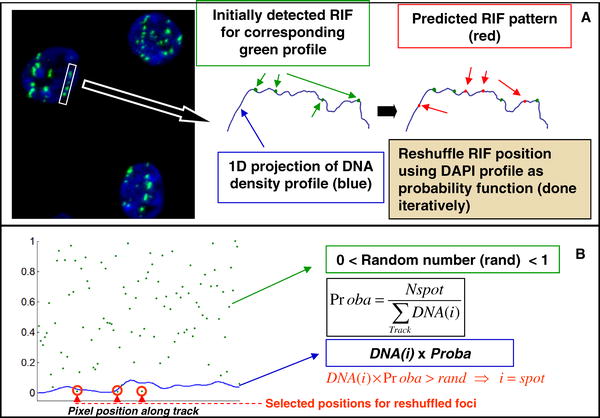 How Can Broken DNA Be Repaired In Space? | Science 2.0
