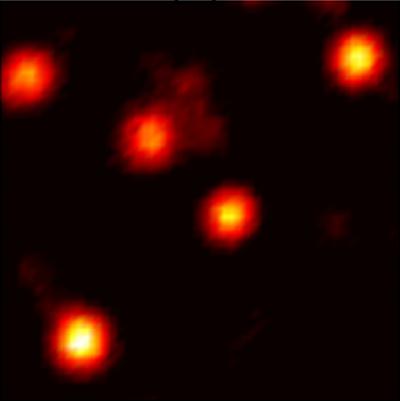 Fluorescent Nanoparticles Could Help Track Molecules Through A Living ...