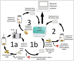 Science Vs Nature: How To Prevent Rot In Half Of All Food | Science 2.0
