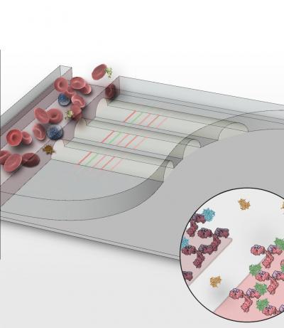 Integrated Blood-Barcode Chip Means Cheap,Fast Blood Tests | Science 2.0