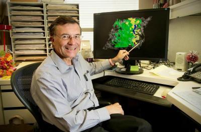 Astrocytes, The Brain's Lesser Known Cells, Get Some Cognitive Respect ...