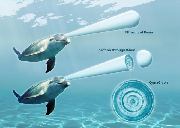 Cymascope - High Definition Imprints May Mean Deciphering Dolphin ...