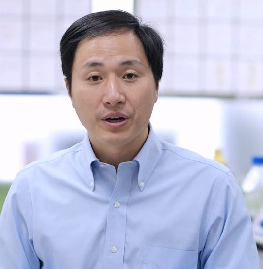 Jennifer Doudna, Co-Inventor Of CRISPR, Tells People To Calm Down About ...