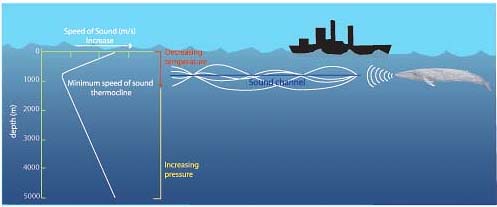 Underwater Acoustics - Searching For The MH370 Flight Recorder ...