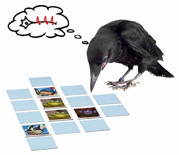 Why Crows Are Intelligent - Working Memory Neurons | Science 2.0