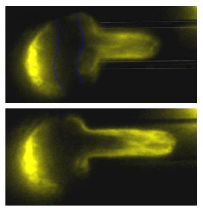 Stem Cell Nuclei Are Soft 'Hard Drives' | Science 2.0