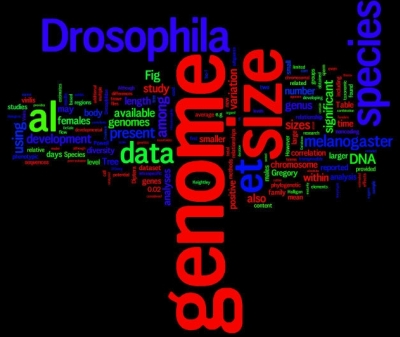 Wordle fun! | Science 2.0