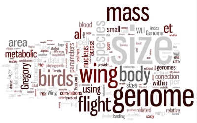 Wordle fun! | Science 2.0