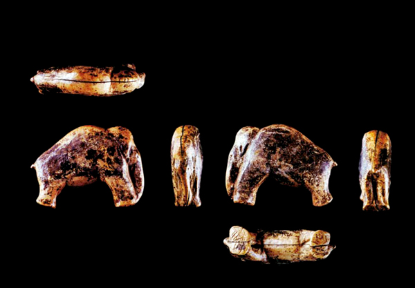 Spectacular Artwork - From The Ice Age! | Science 2.0